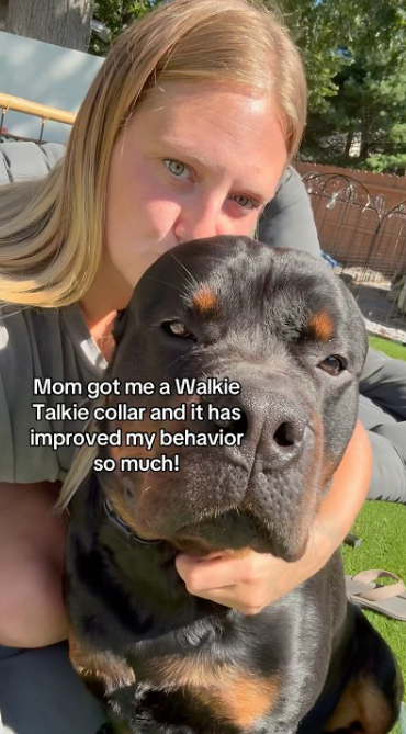 It’s a game changer: Dog training tips that work