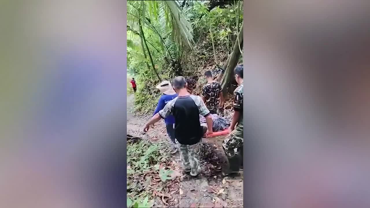 Two students on nature trek injured by wild elephants