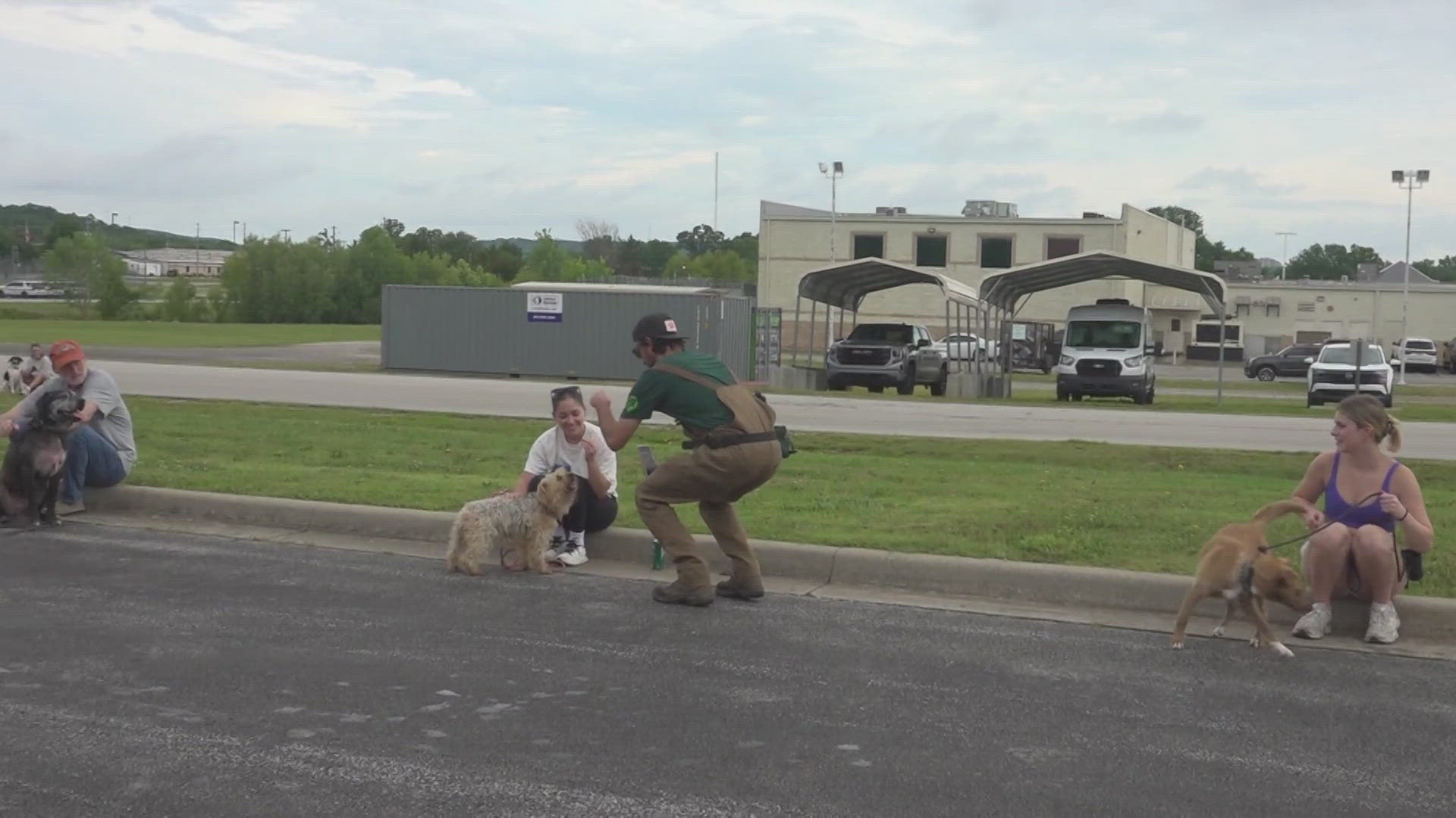 Big Paws pack walk helps shelter dogs build confidence for adoption
