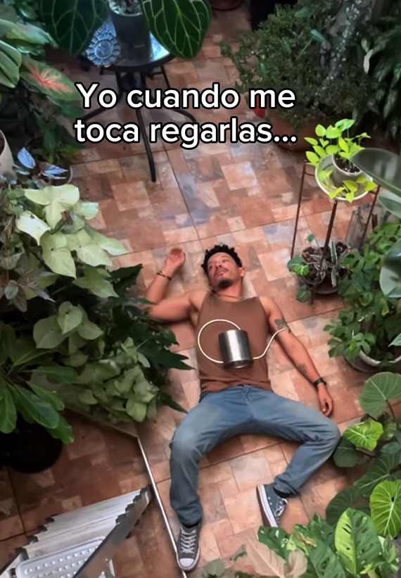 Cuánto tiempo tardas en regar tus plantas: humor y vida verde
