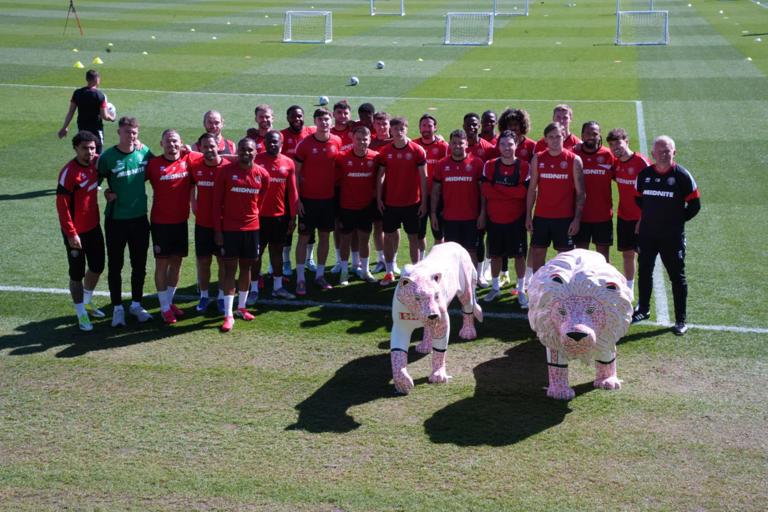 Pride of Yorkshire lions sculpture trail backed by famous faces hits ...