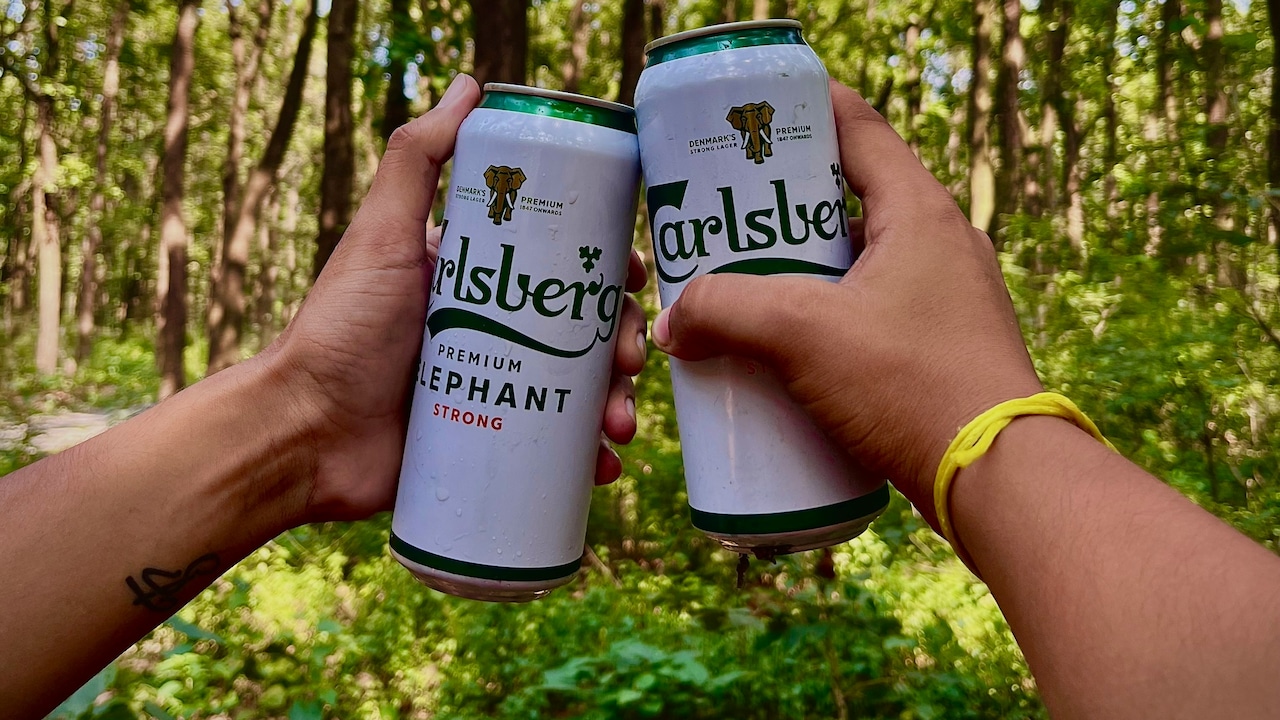 Carlsberg IPO: Beer giant gets ready to file Rs 6,600 crore DRHP