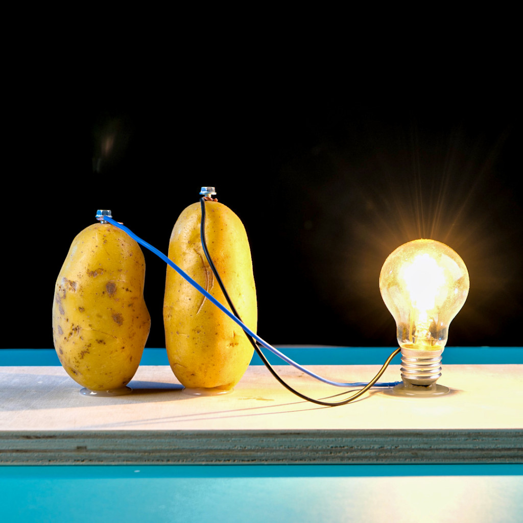 How to make a potato light bulb? 💡🥔
