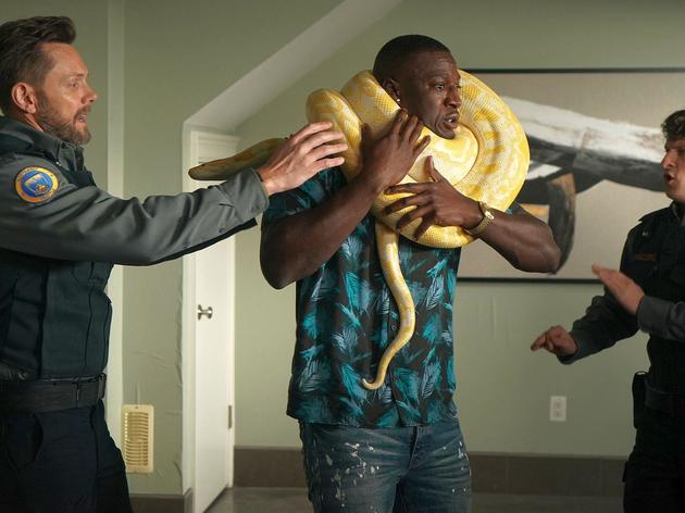 Heute neu: Staffel 4 von „Animal Control“ bei Warner TV Comedy