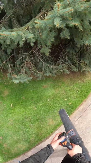 Powerful X6 backpack blower review