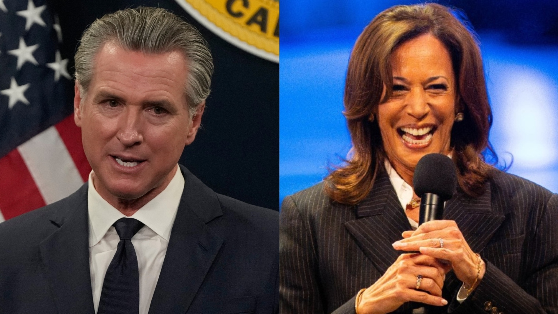 ‘Ken and Malibu Barbie’: Newsom and Kamala torched as they head for ...