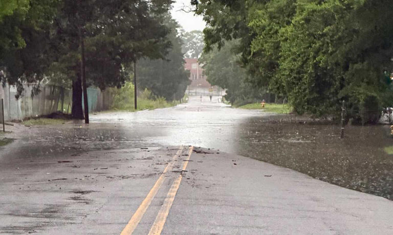 Gadsden closes road after strong downpours bring flooding, downed trees