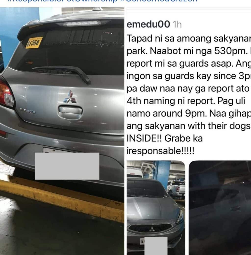 Cebu City cracks down on pets left inside parked vehicles