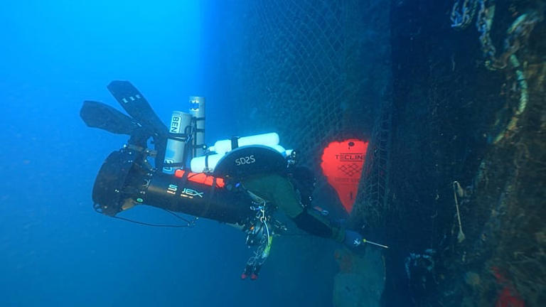 Divers made the first video ever of this shark in the Med - then got ...