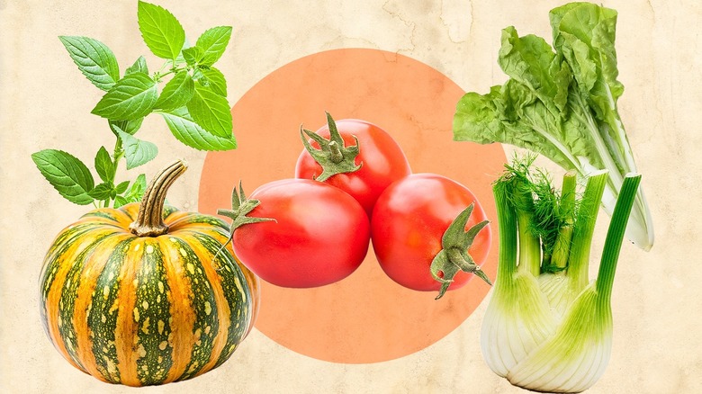 15 things to never plant with tomatoes