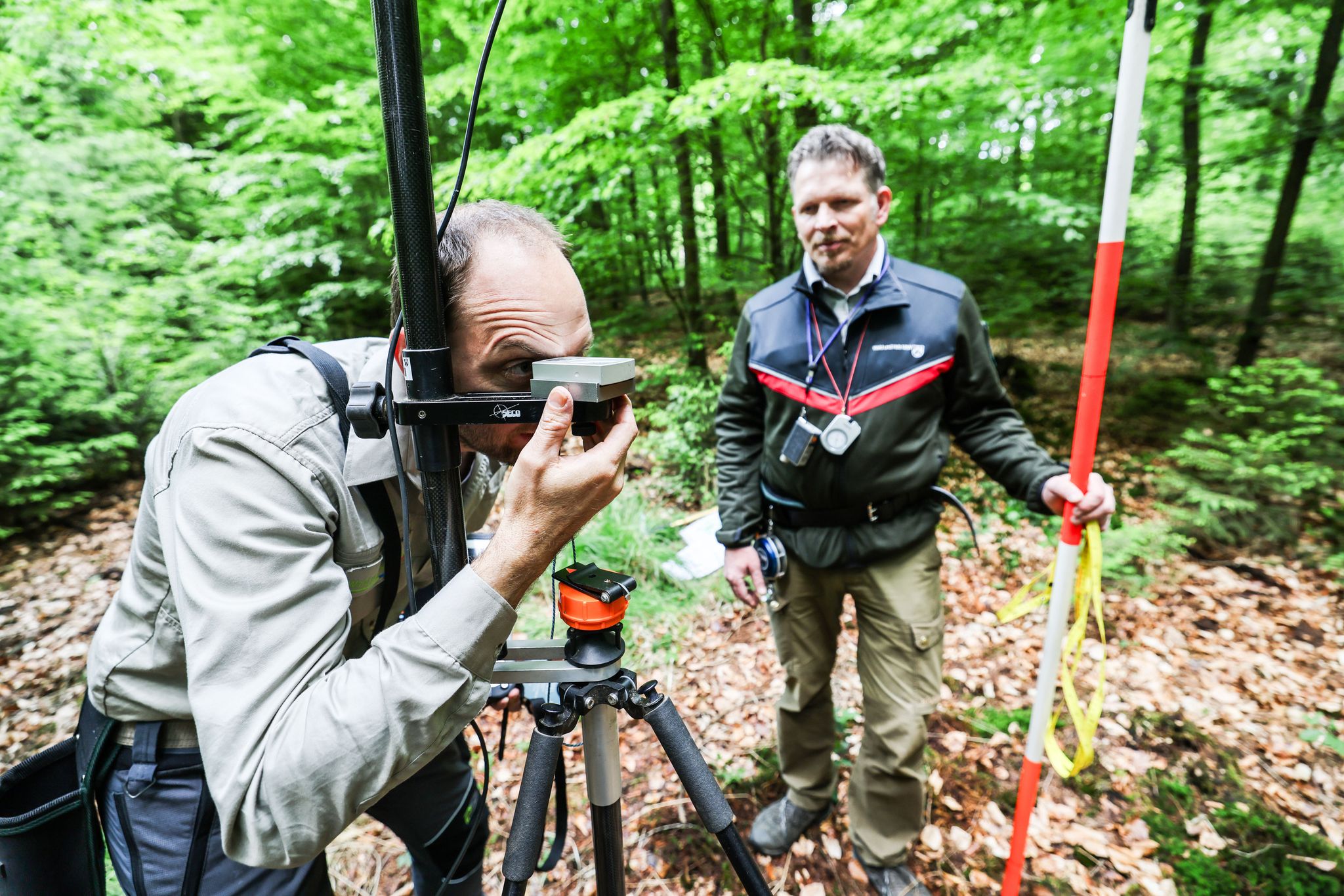 Mit Zollstock und Kompass: Wie der Wald vermessen wird