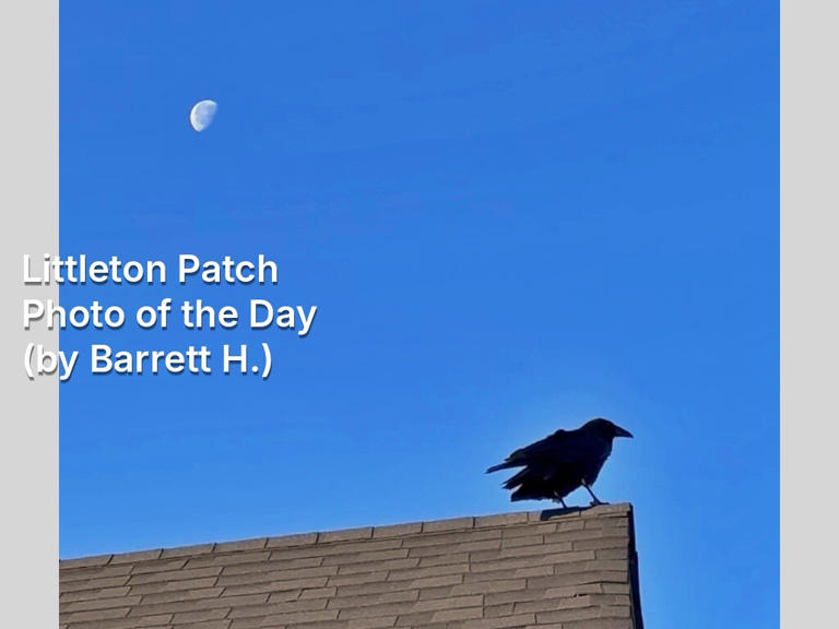 🌱 Patch AM: Can Littleton’s Jennifer Kupcho chase down the US Women’s ...