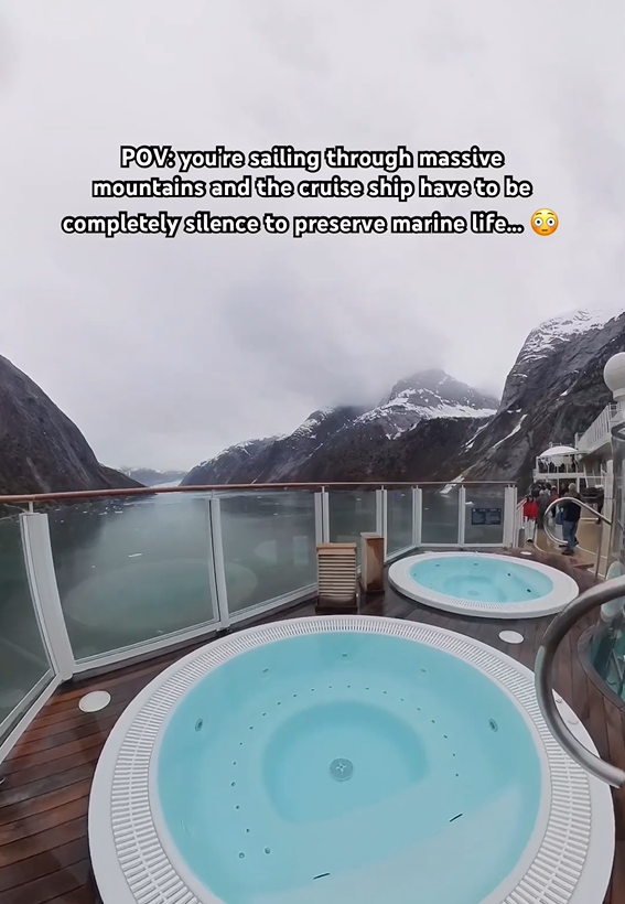 Why cruise ships go silent while sailing in Alaska