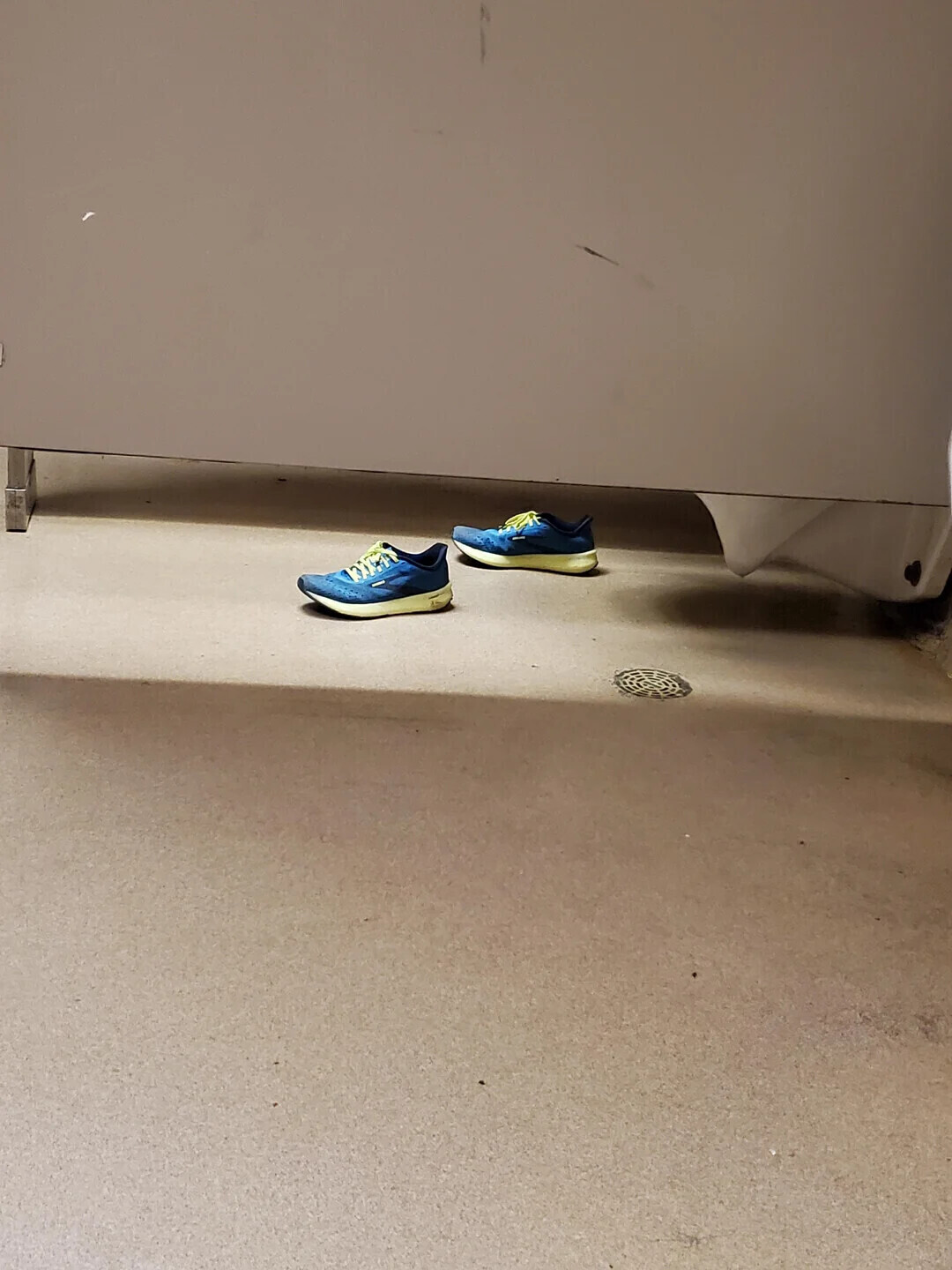 15 photos where common sense gets it all wrong