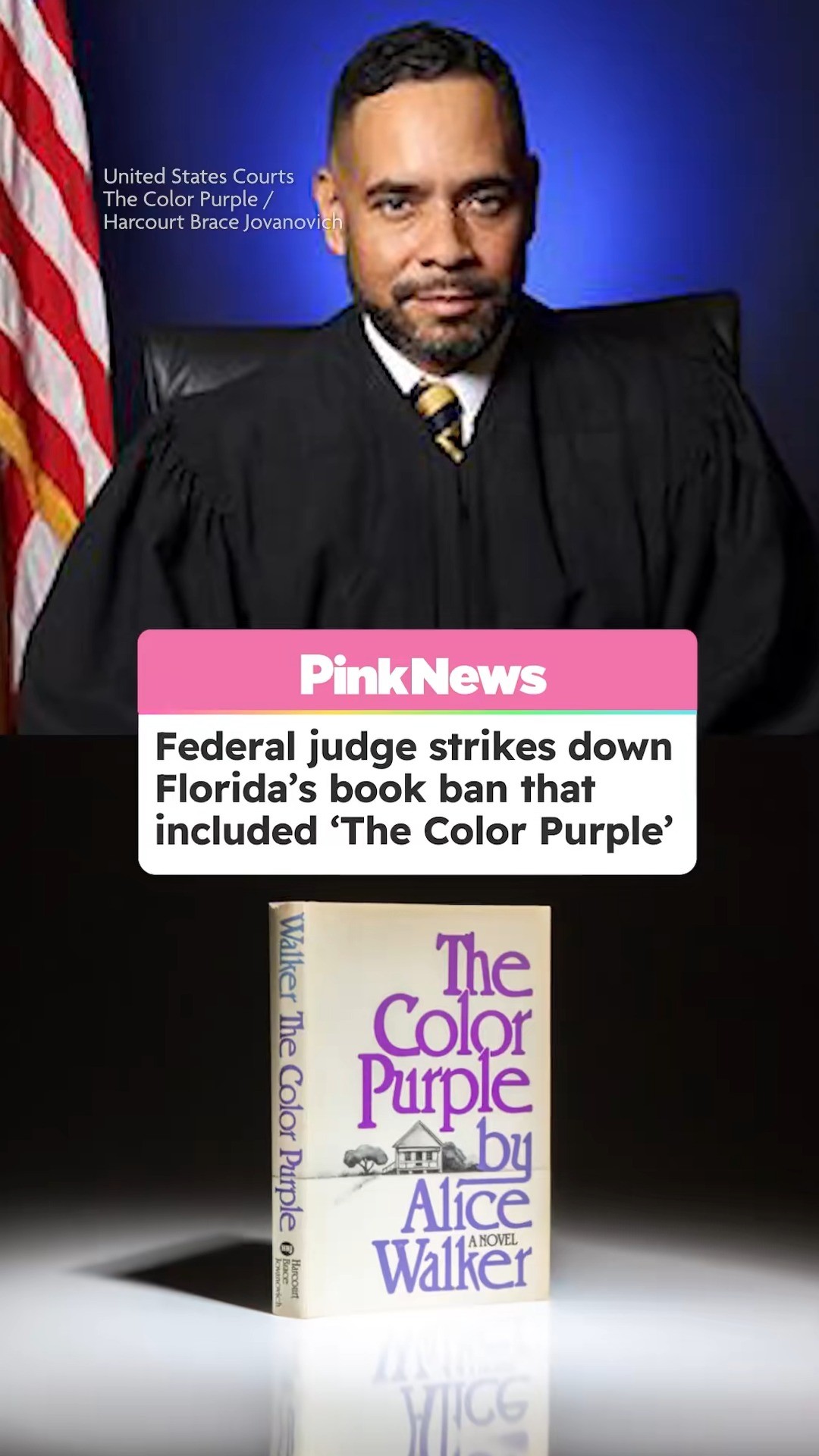 Federal judge strikes down Florida book ban, protecting award-winning ...