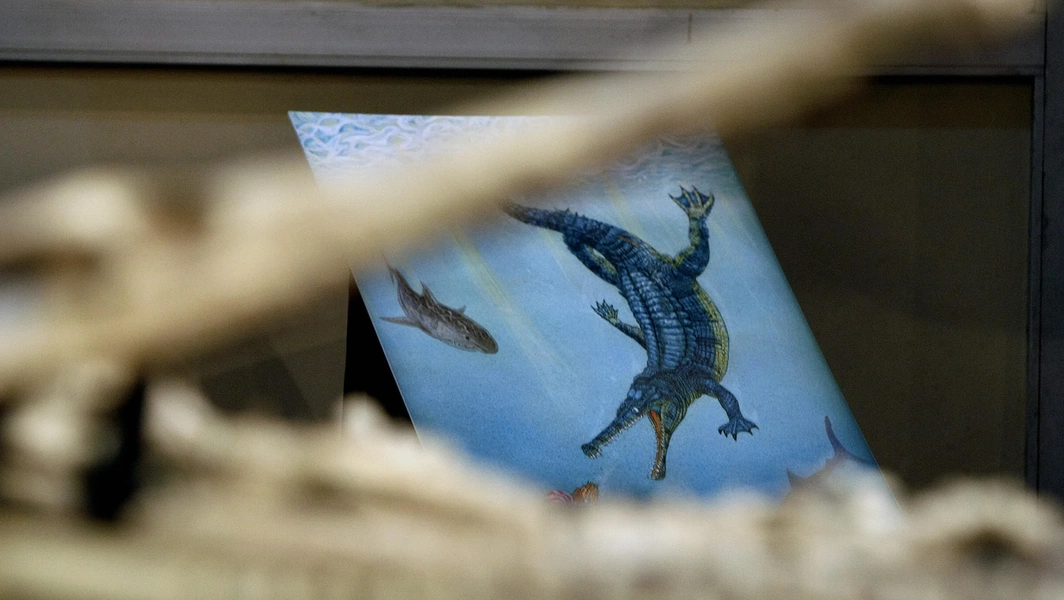 The wild history of dinosaur armor evolution