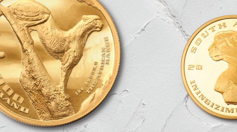 SA Mint launches ambitious new multi-million-rand coin collection