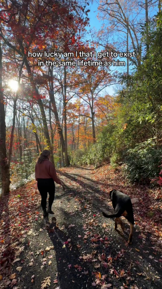 The dogs that changed my life forever