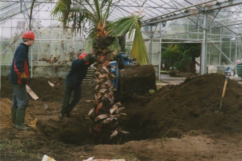 Abandoned Cornish garden centre transformed into thriving cafe with ...