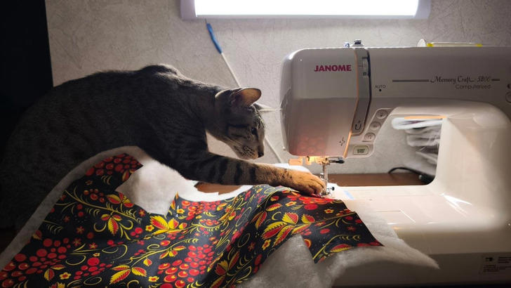 18 real pet stories that prove our animals quietly understand us better ...