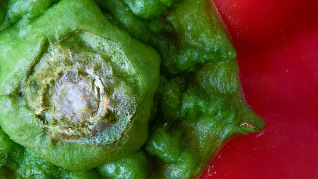 Bell pepper secrets every home cook loves