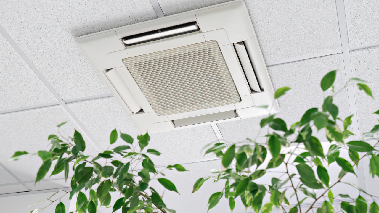 Is your office AC making you sick? Signs you shouldn't ignore