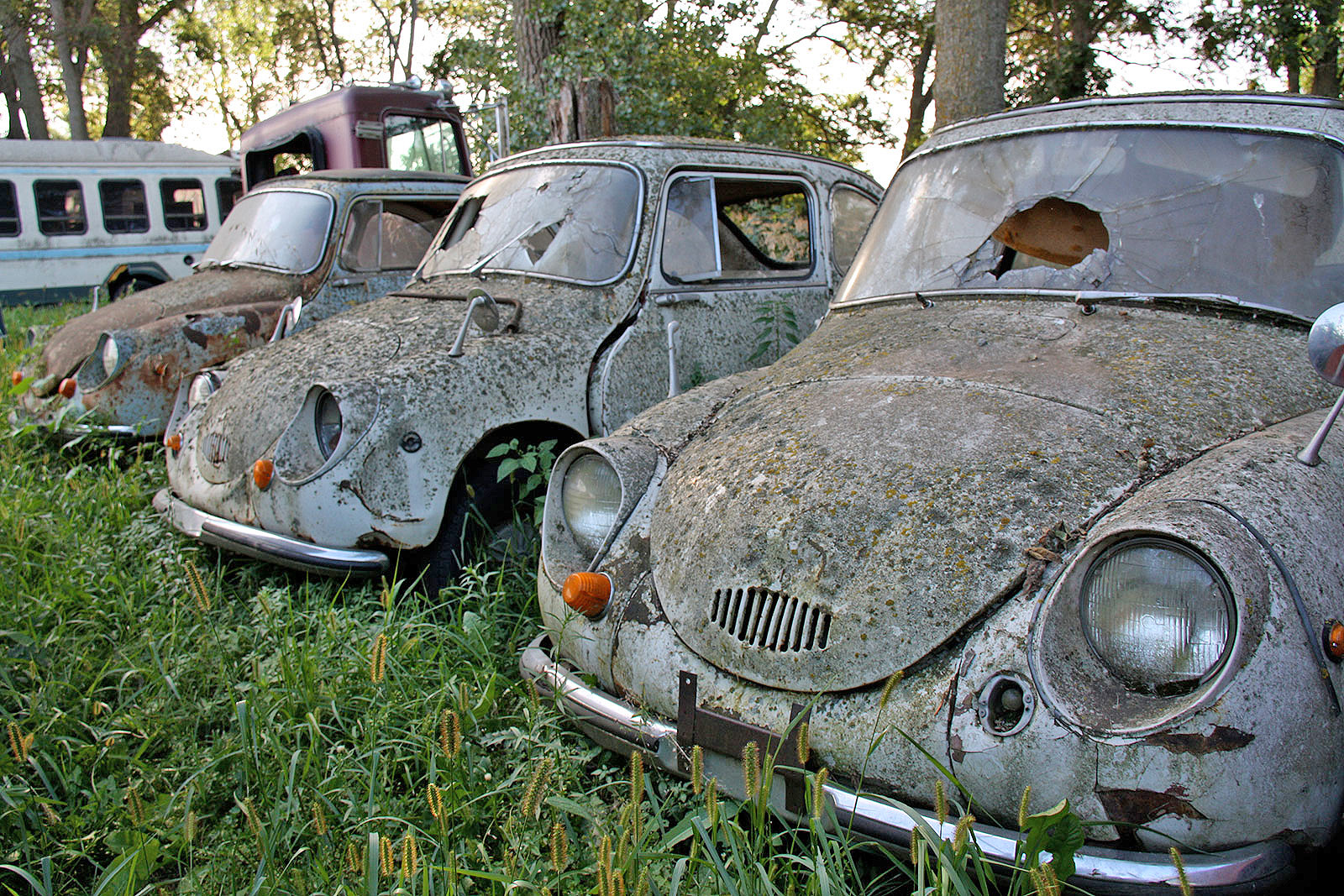 Unicorns: the rarest cars we’ve ever spotted in American junkyards
