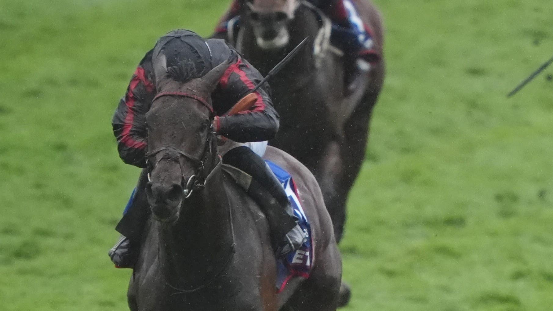 Haggas eyeing Ireland or France for Derby runner-up Maltese Cross