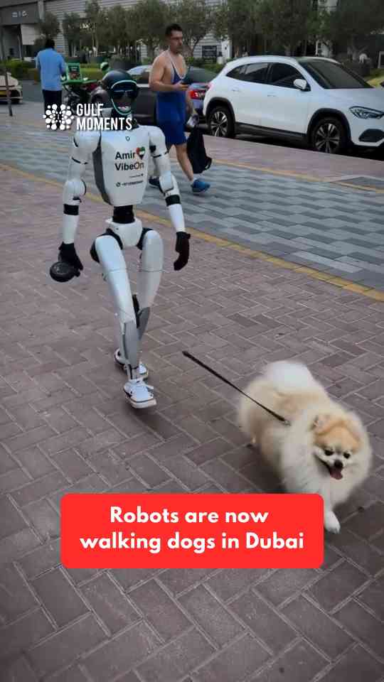 A robot was seen taking a dog for a walk