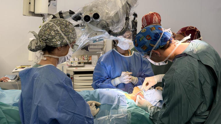 Cirugía contra el Alzheimer: Catalunya explora una nueva vía ...