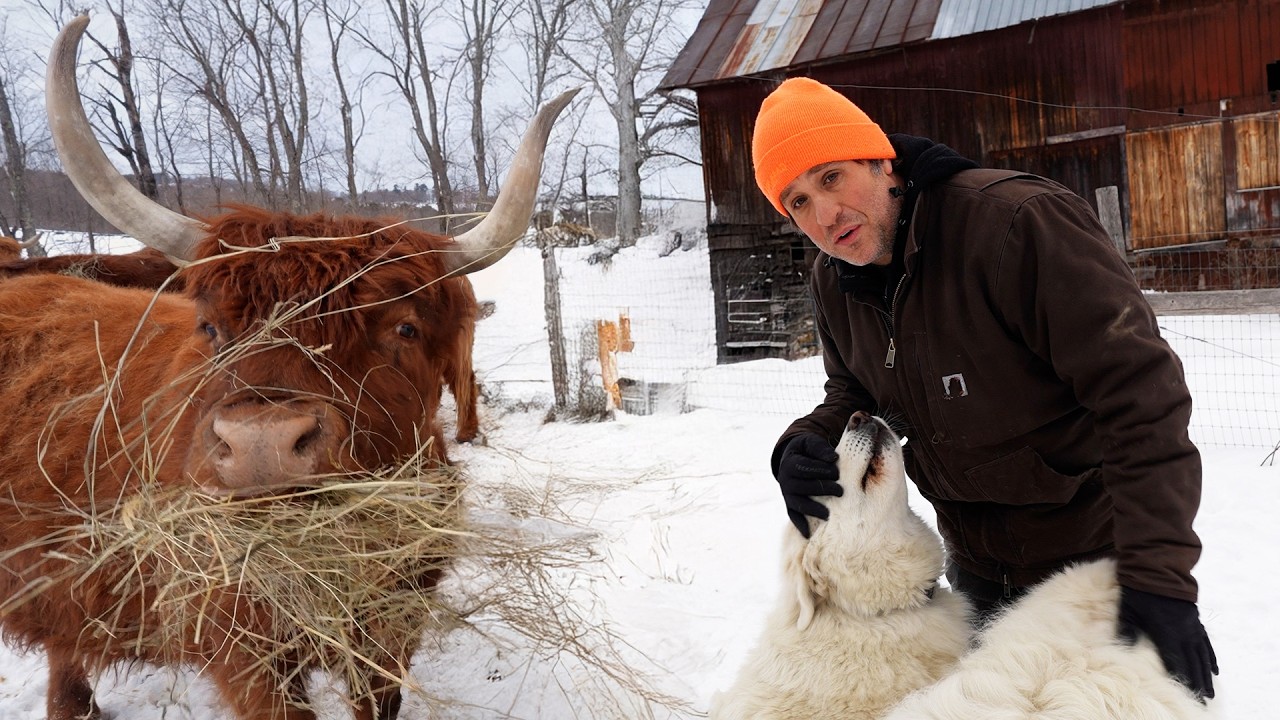 Find out how winter brings dangerous predators and frozen water to farm