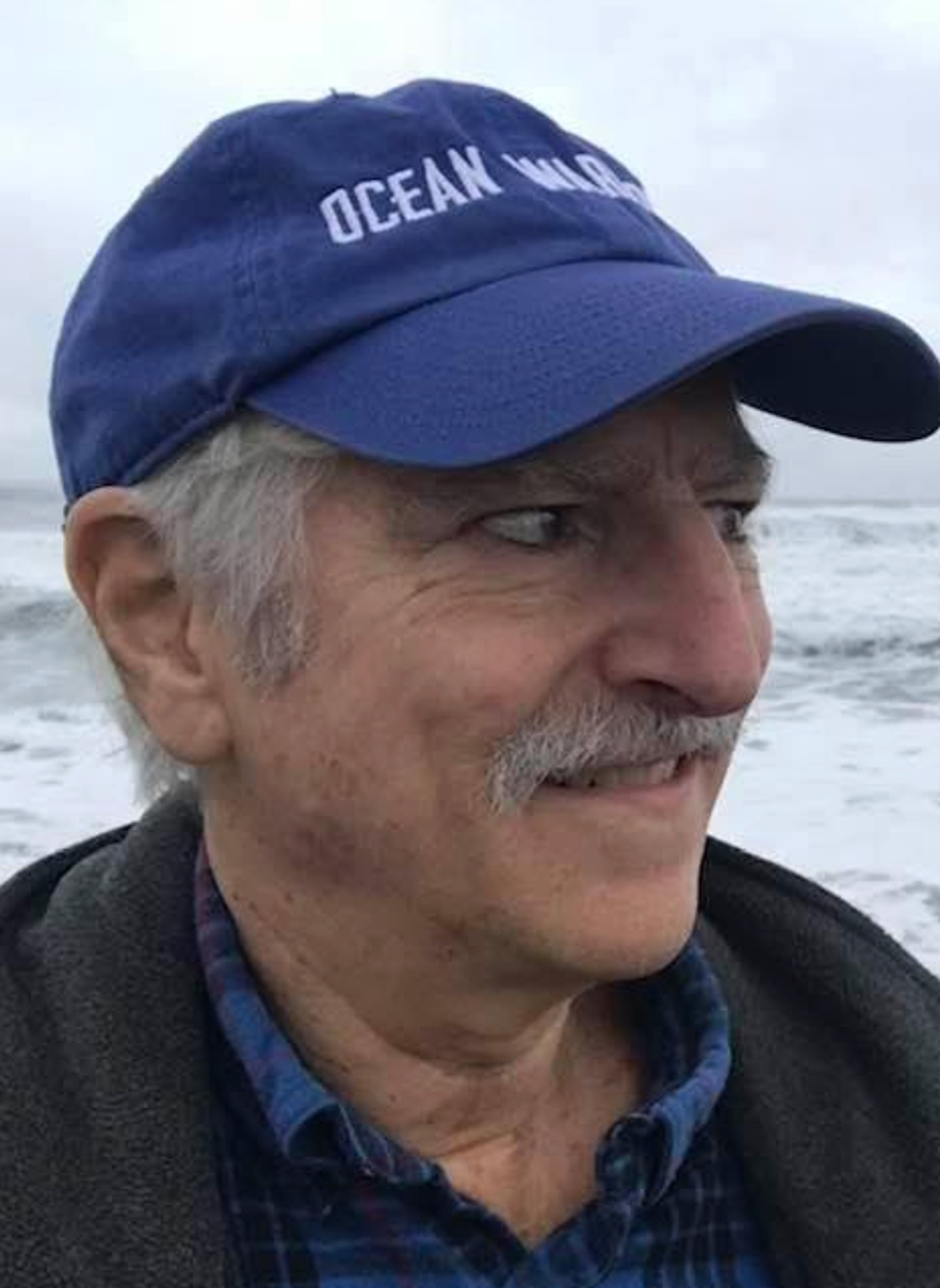 Commentary: Save our endangered kelp forests