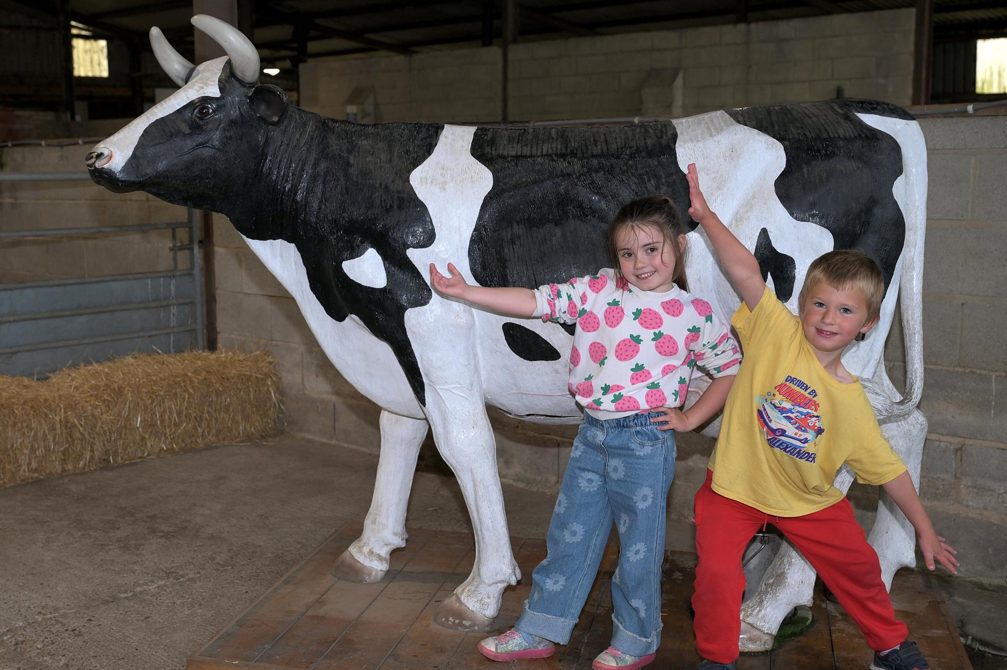 Families enjoy fun day as Playdale Farm near Scarborough celebrates ...