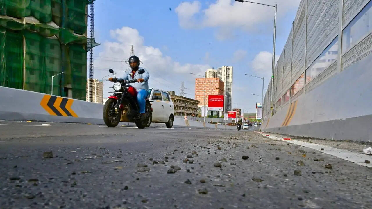 Rs 248-crore Mumbai's Mrinaltai Gore flyover triggers public anger as ...