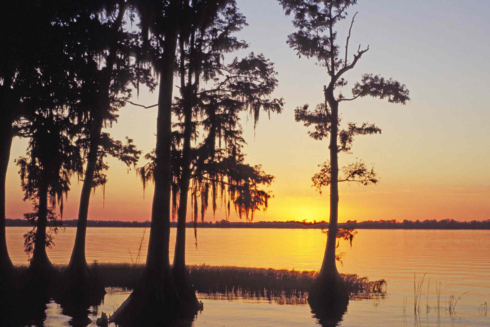 This affordable Florida lake town was just named one of the best places ...