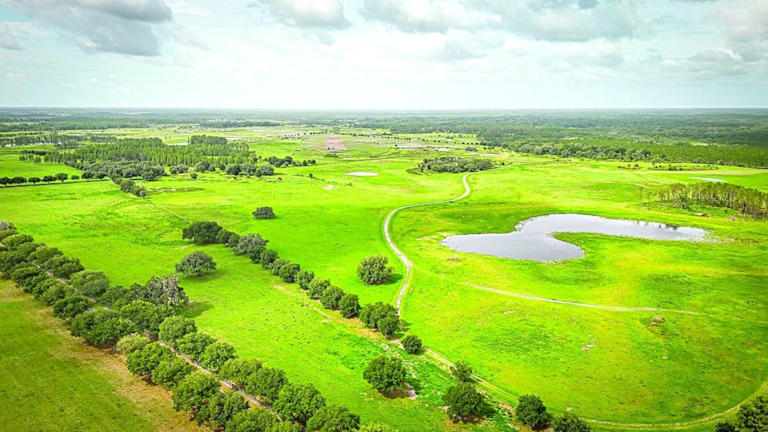 Pasco purchases nearly 1,900 acres of land for conservation