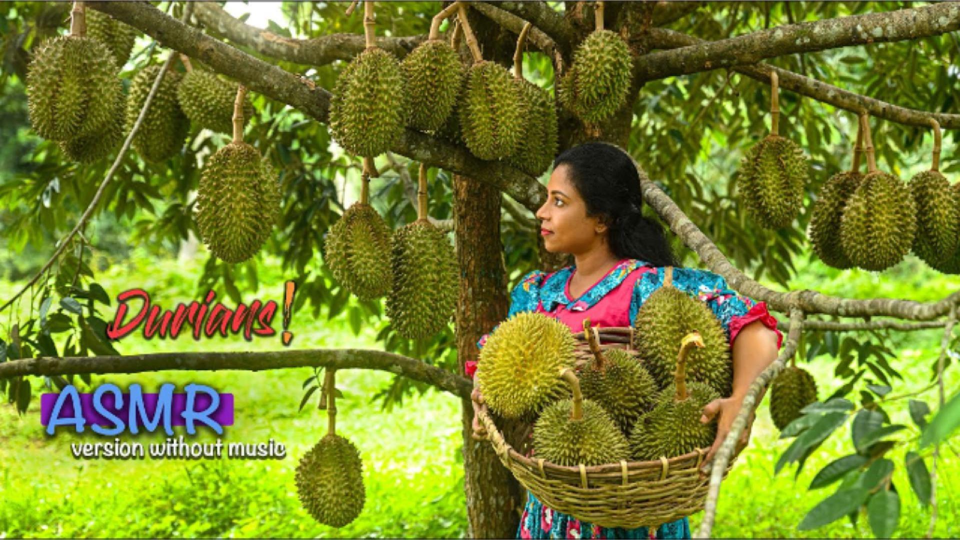 ASMR durian feast: pudding, coffee, chocolate & crispy seeds