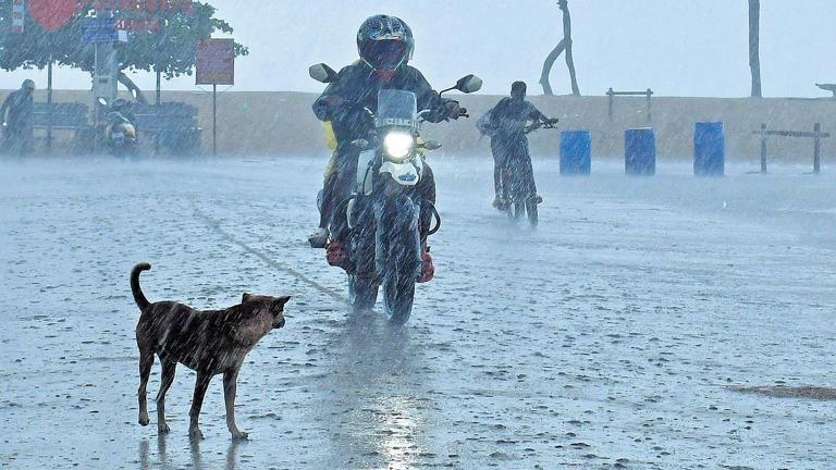 El Nino threat, low reservoir levels worry KSEB