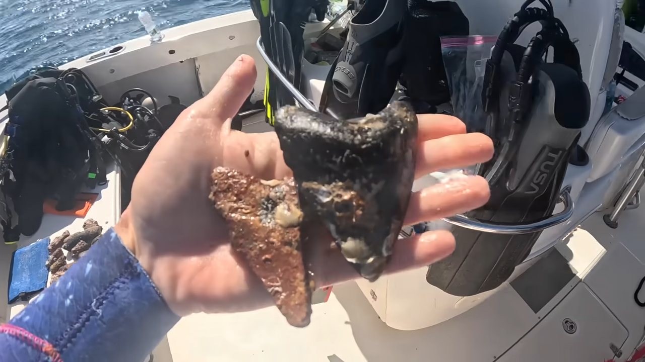 She found a megalodon tooth on the ocean floor — then another one ...