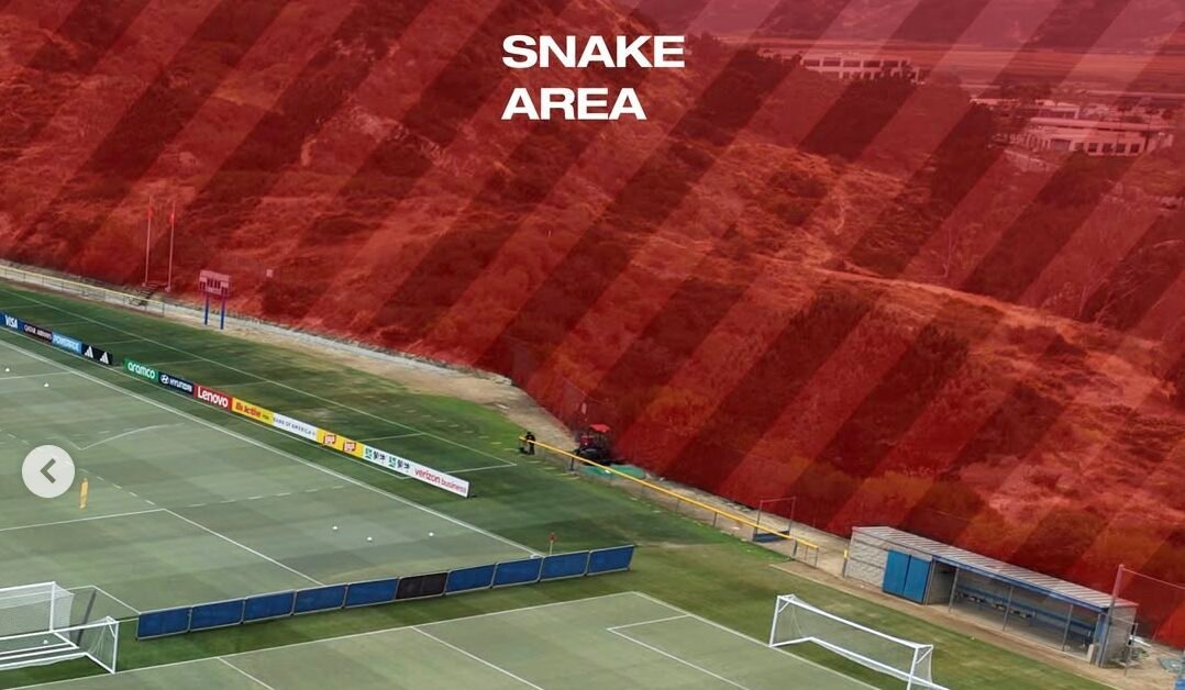 Switzerland training center surrounded by snakes at the World Cup