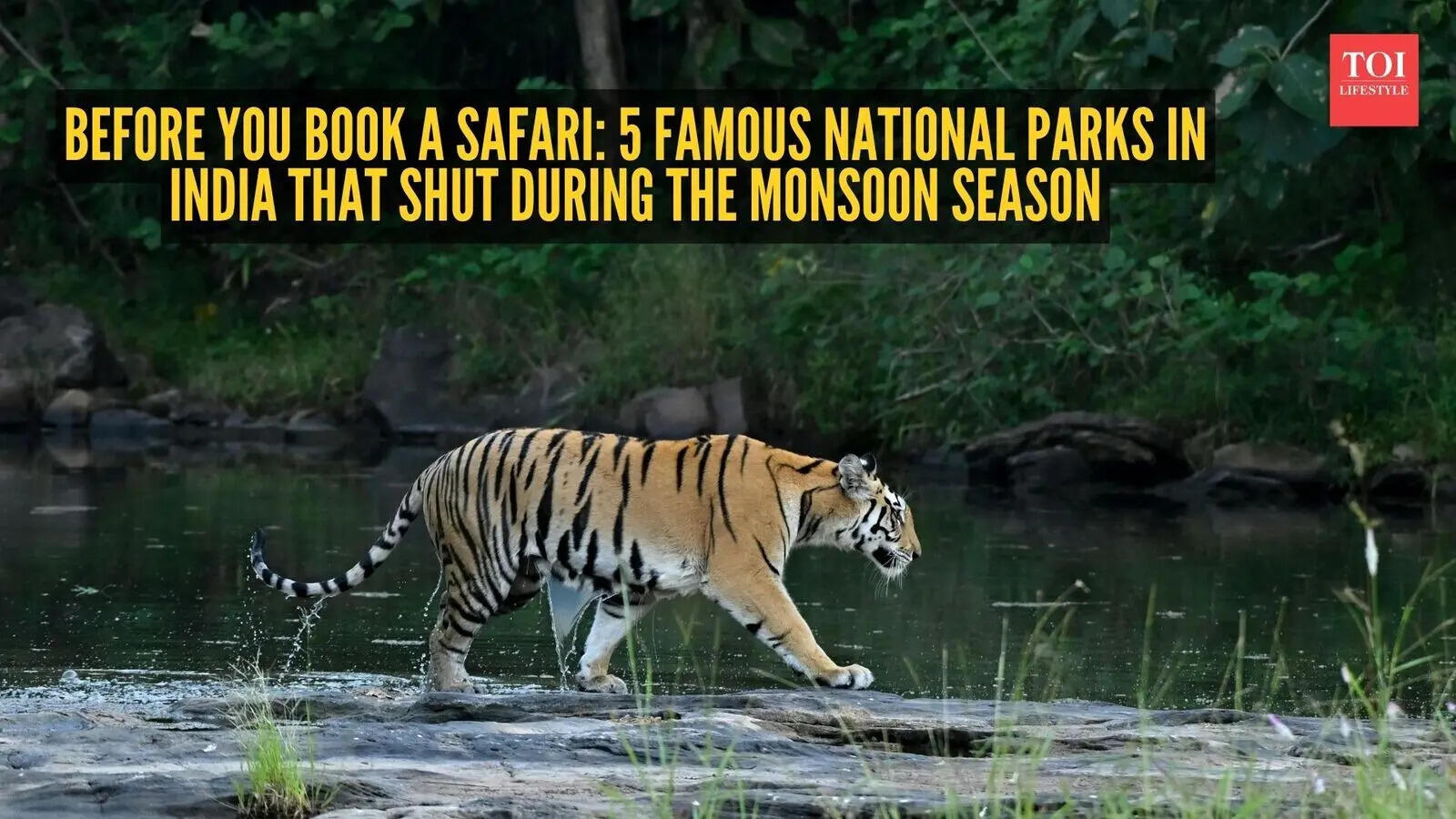 Before you book a safari: 5 famous national parks in India that shut ...