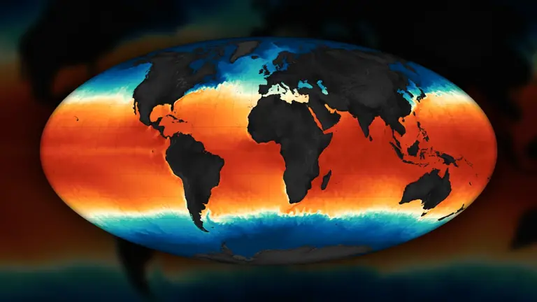 Earth in action update: Sea surface temperature