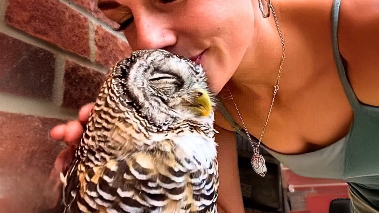 Rejected baby owl thought her rescuer was her mom - and refused to ...