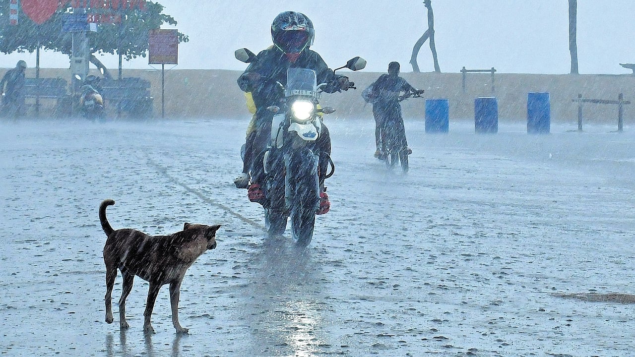 IMD issues red alert in three Kerala districts as monsoon remains ...