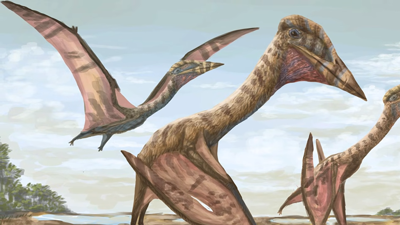 Watch what happens when a flying reptile the size of a plane hunts from ...