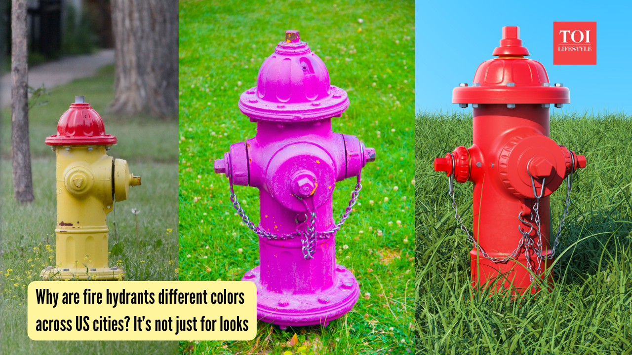 Why are fire hydrants different colors across US cities? It’s not just ...