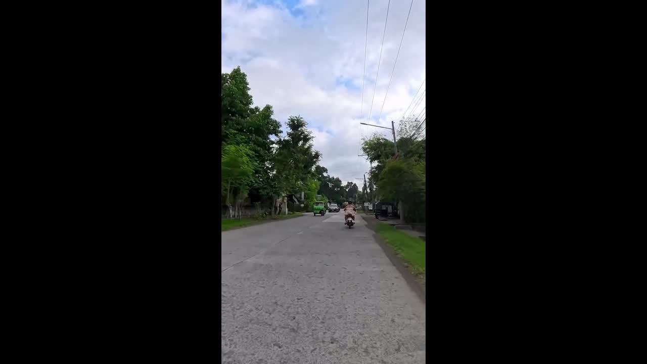 Motorcycle rider knocked over by excited dog running into road