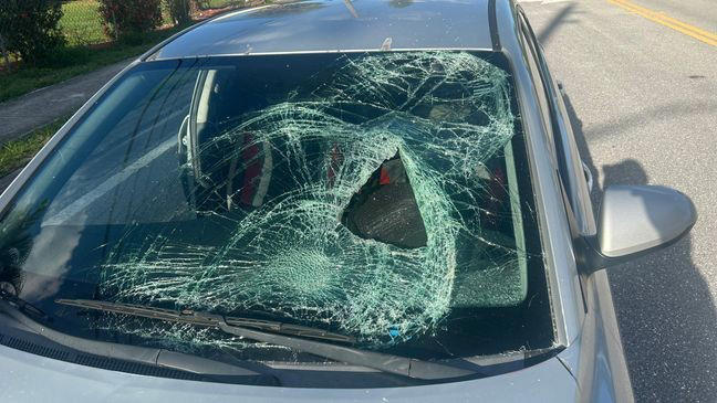 'He was vibing': Driver speaks out after teen on e-bike allegedly blows ...