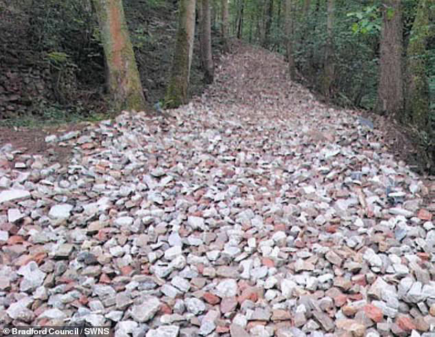 Holiday homes illegally built on £1m ancient woodland to be demolished ...