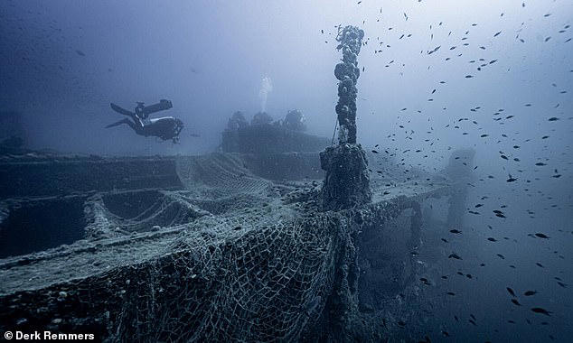 Great white shark is recorded underwater in the Mediterranean for the ...